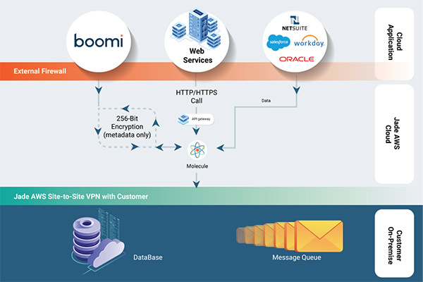 Boomi Hosting Services | Boomi Support