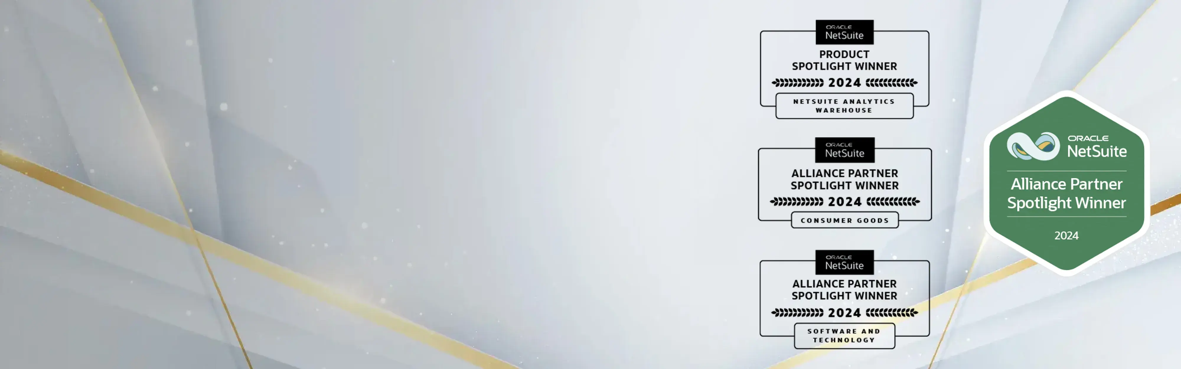 NetSuite Services | NetSuite Alliance Partner